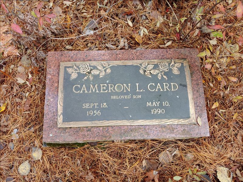 Plot III-B-6 - Bois Blanc Township