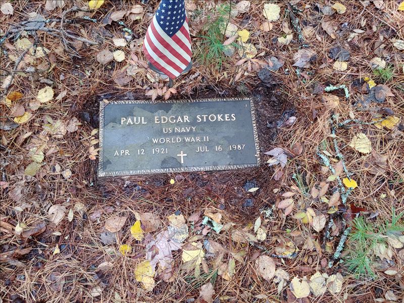 Plot I-A-11 - Bois Blanc Township