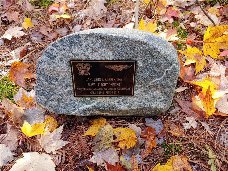 Plot II-D-1 - Bois Blanc Township